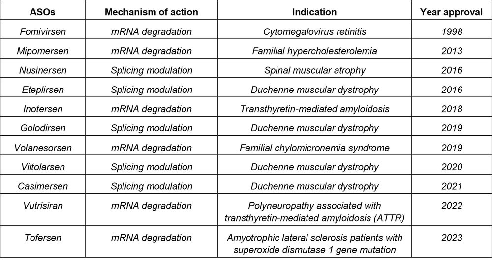 Exploring antisense oligonucleotides and small interfering RNAs ...