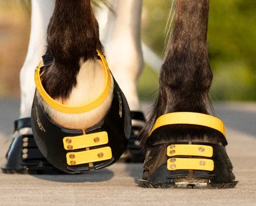 Explora Magic — The Hoof Boot Shop