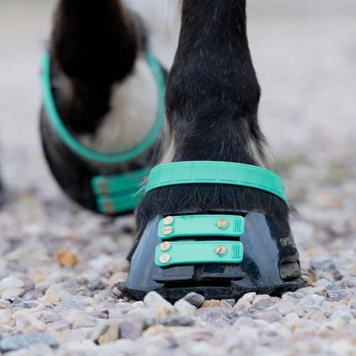 Explora Magic — The Hoof Boot Shop