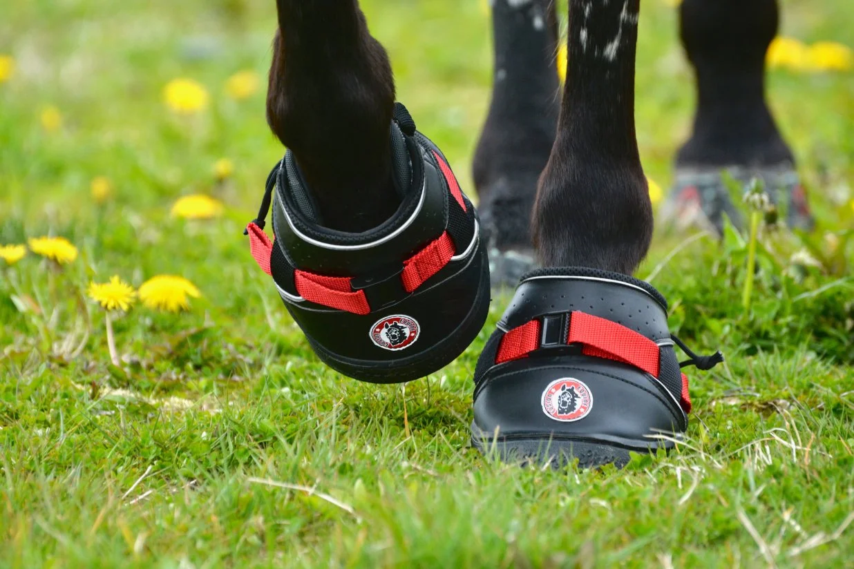 Shop All Hoof Boots — The Hoof Boot Shop