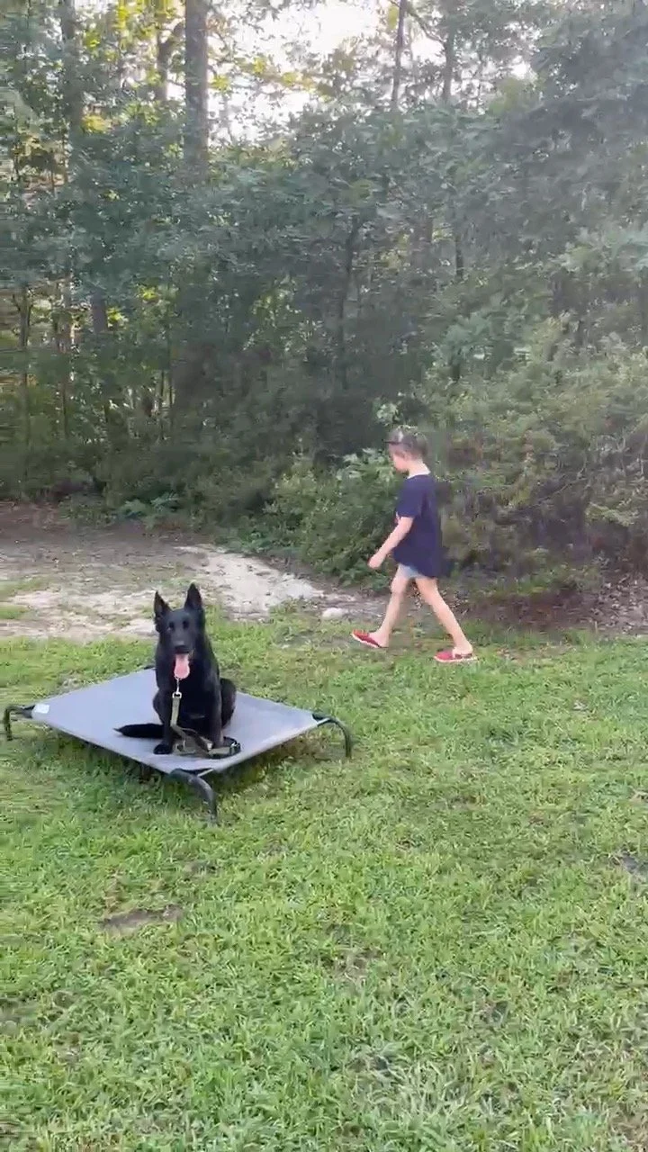 K9 Responder Academy