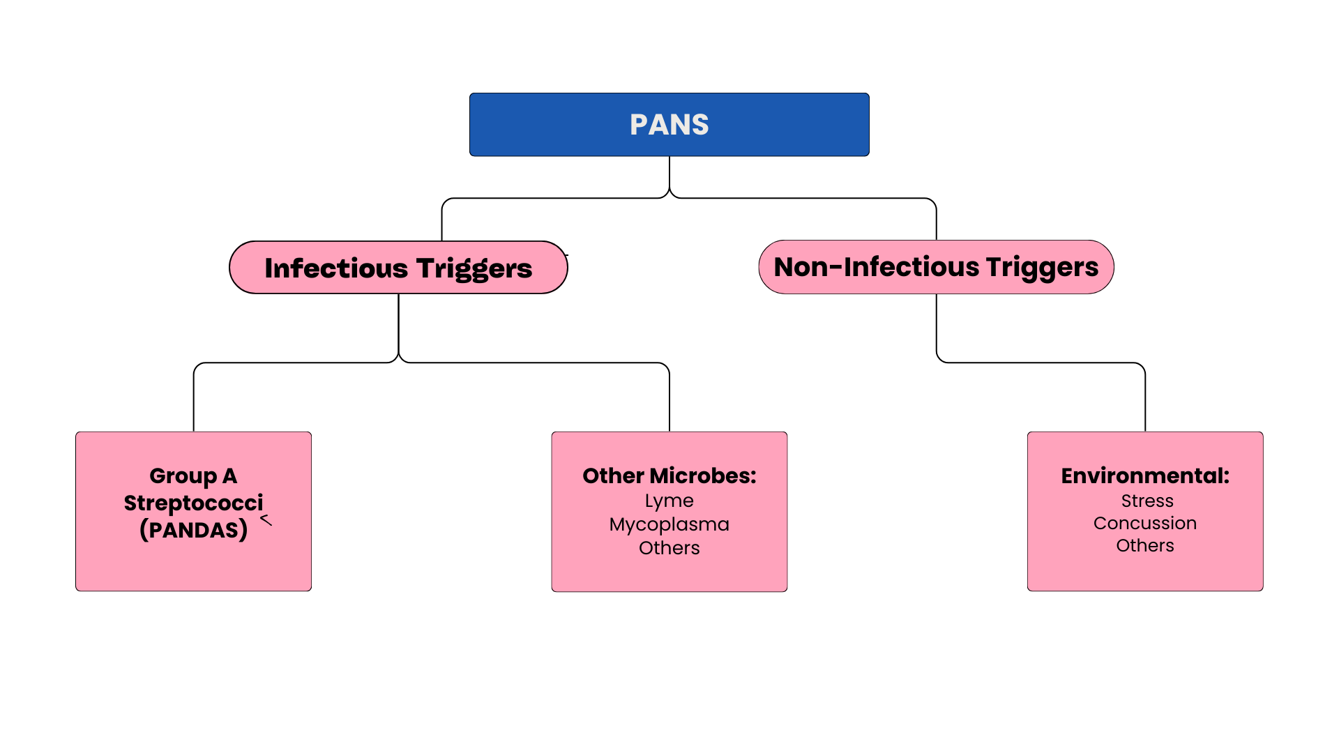 What is PANS/PANDAS? A Guide to Pediatric Acute-Onset Neuropsychiatric ...