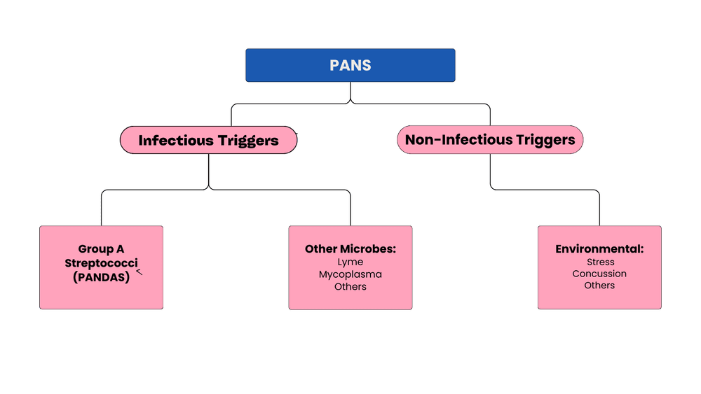 What is PANS/PANDAS? A Guide to Pediatric Acute-Onset Neuropsychiatric ...