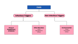 What is PANS/PANDAS? A Guide to Pediatric Acute-Onset Neuropsychiatric ...