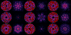 TOLIMAN Space Telescope