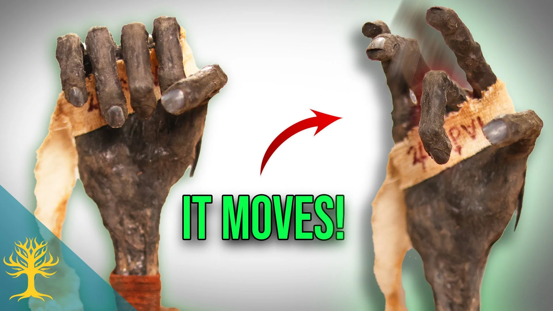 Skill Tree Store — Skilltree