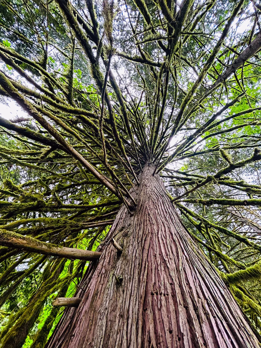 About Us — Axis Mountain Technical