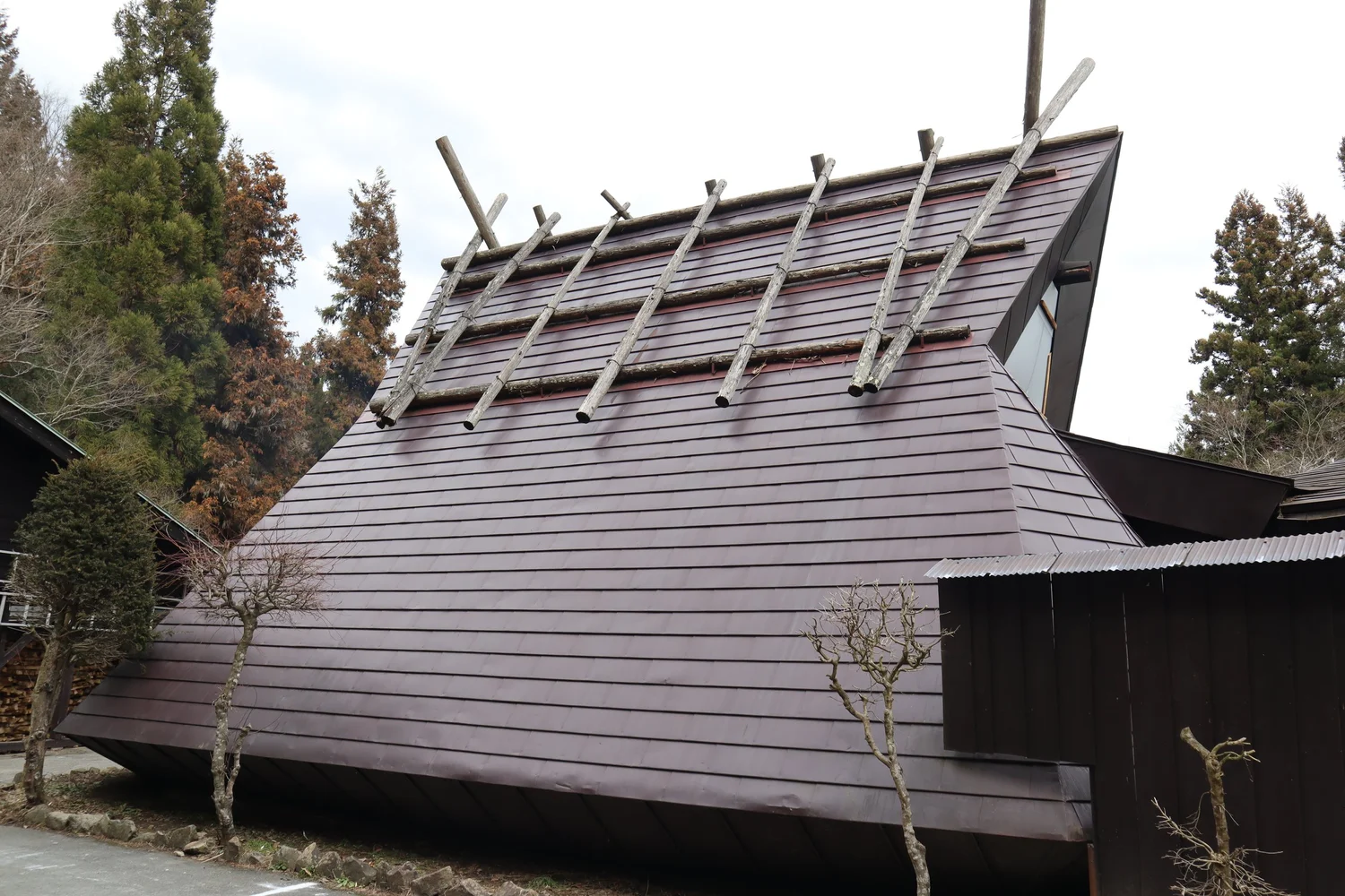 Discover Japan's Hidden Gems | Vision