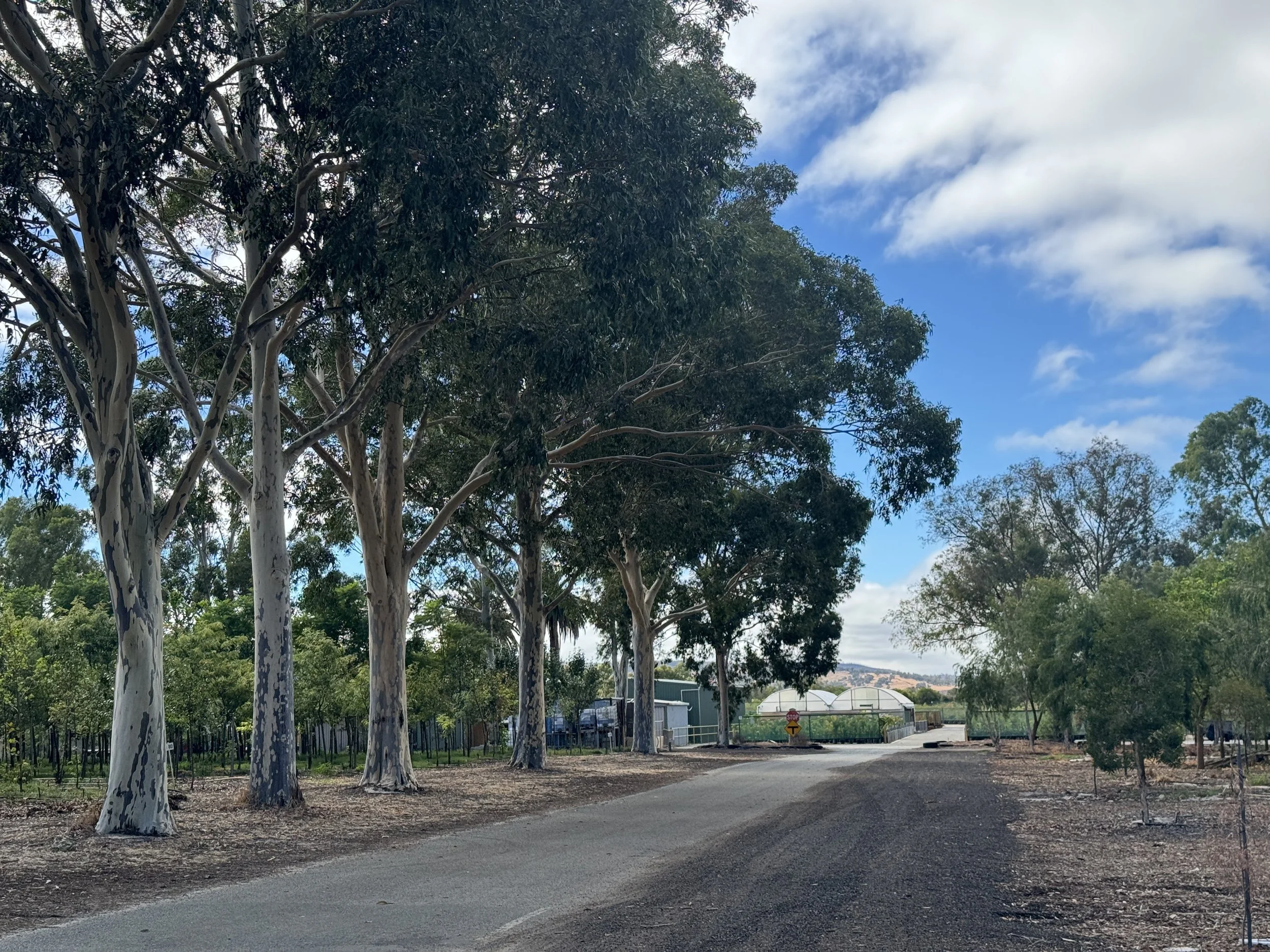 Our Capabilities — Ellenby