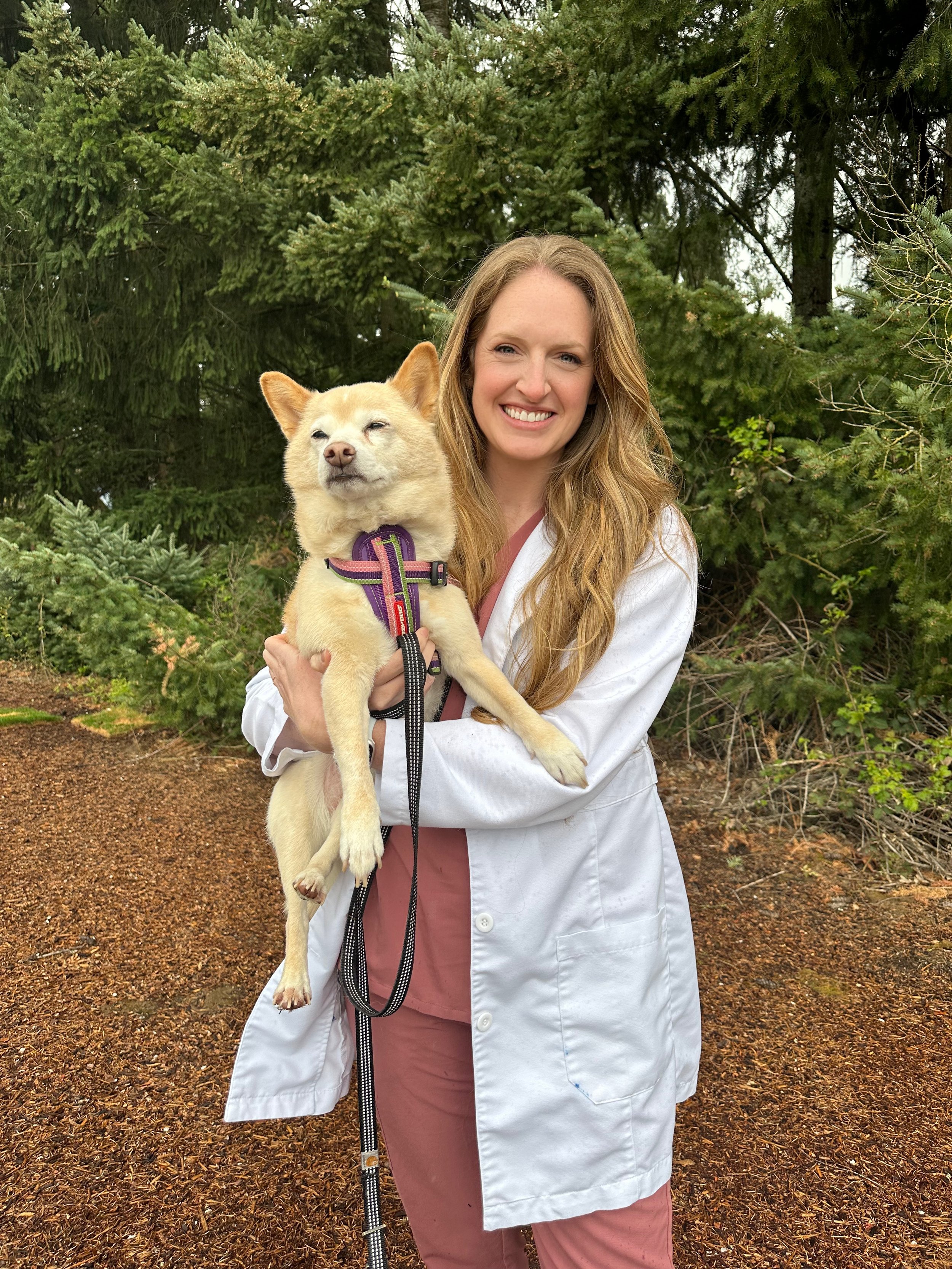 Our Doctors — Fern Hill Veterinary Care