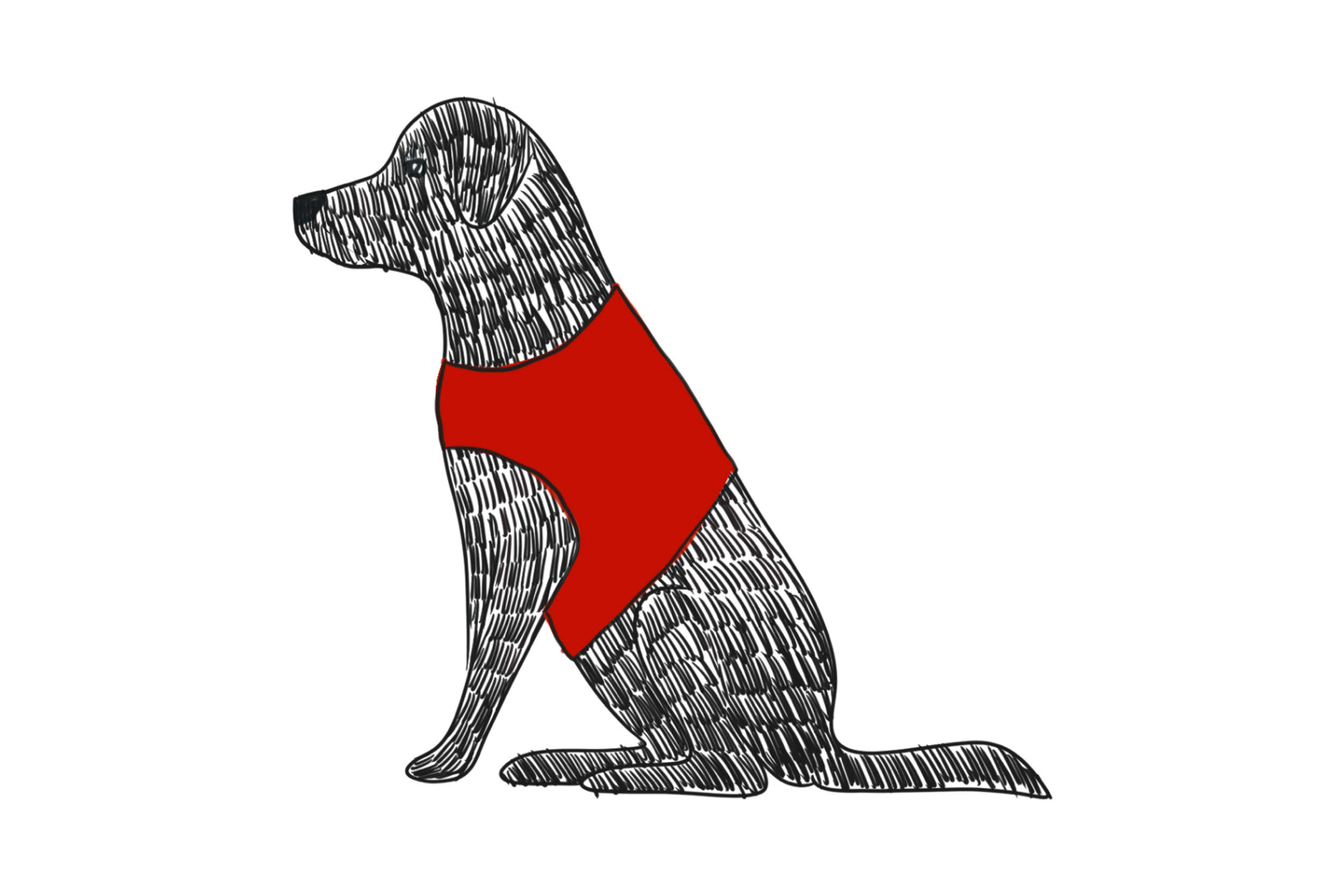 Perros de Alerta — Proyecto Independencia