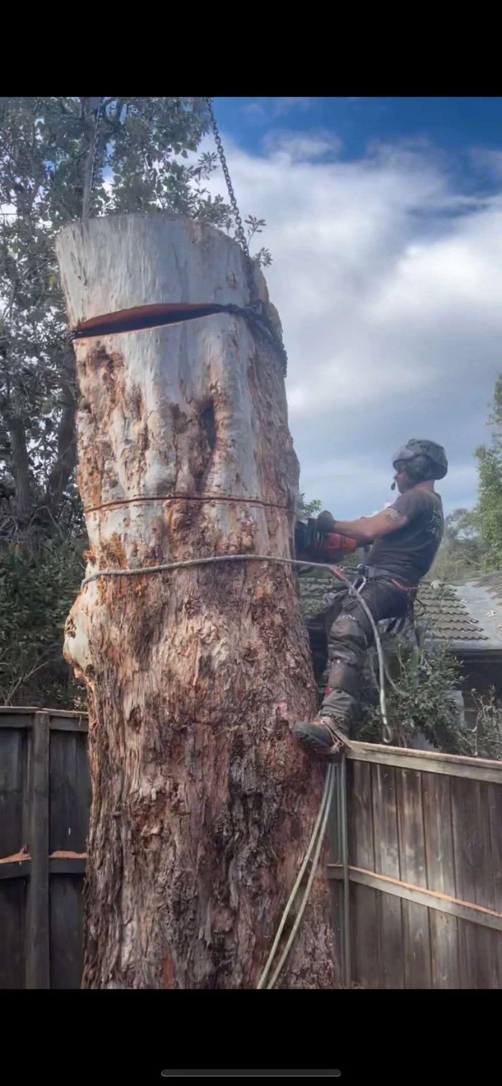 Leaf It To Me Tree Services