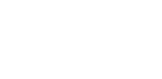 Shojo Boston - Chinatown