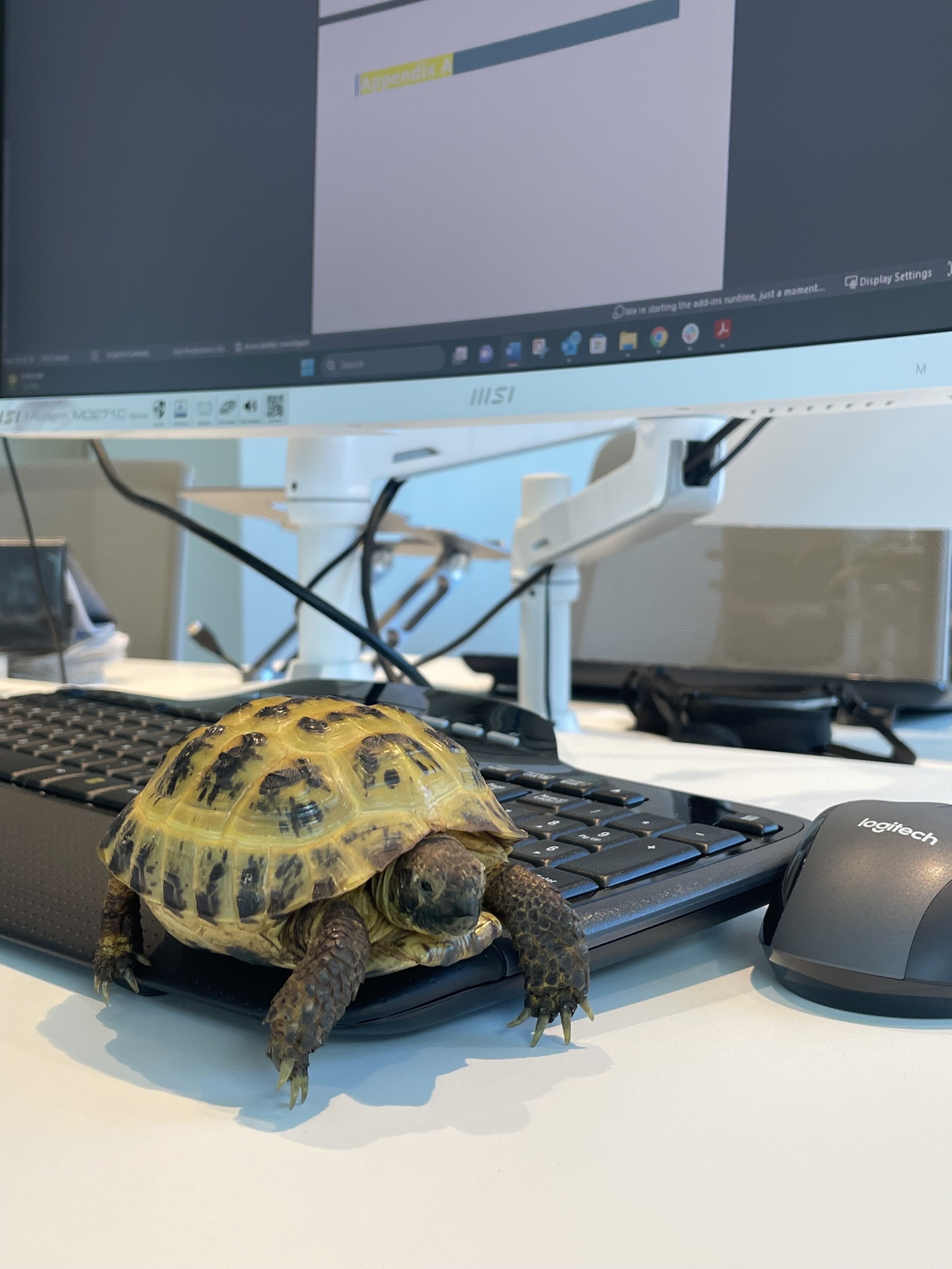 About Us — AJM Environmental