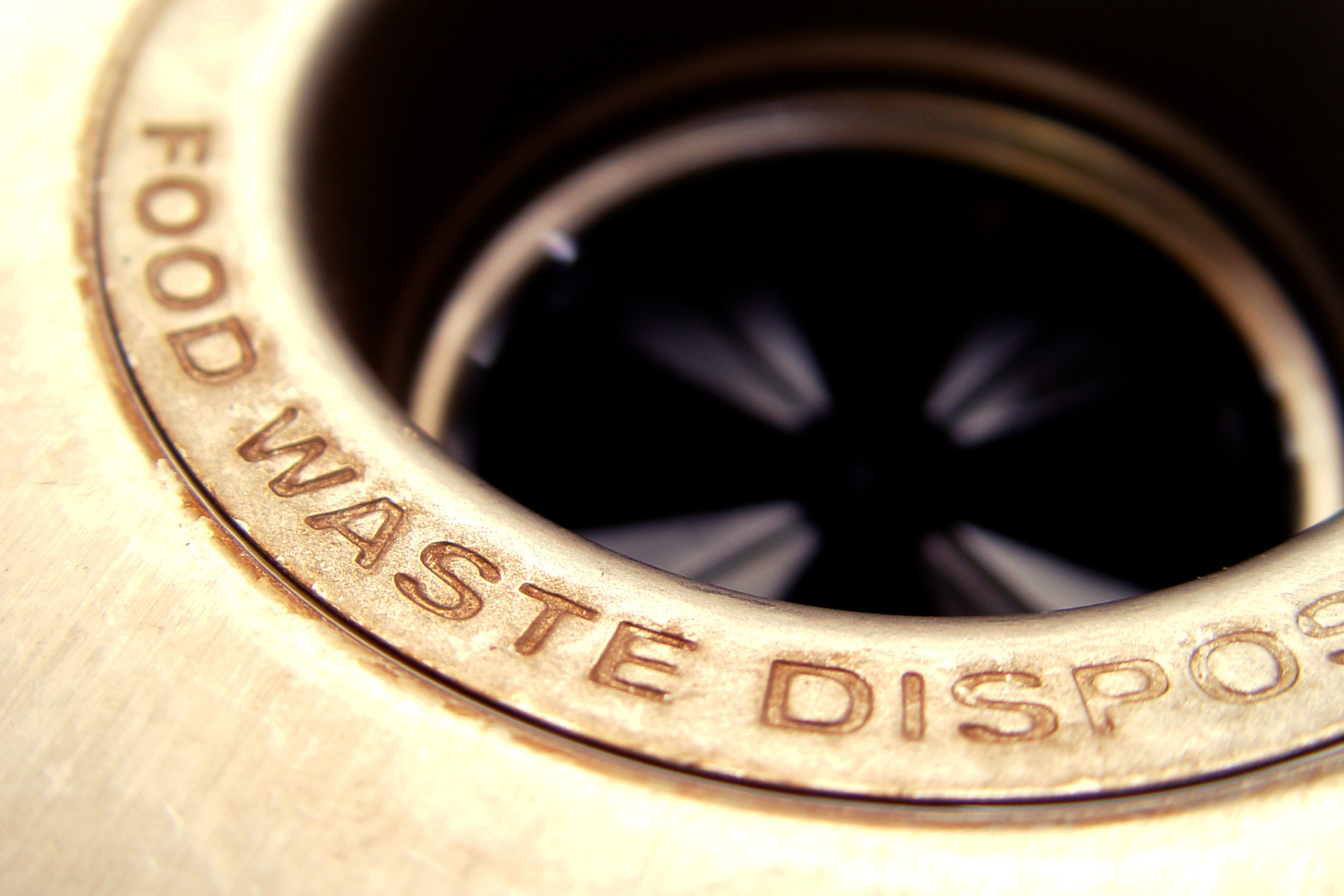 Maximizing Efficiency: Best Practices for Using Your Garbage Disposal ...