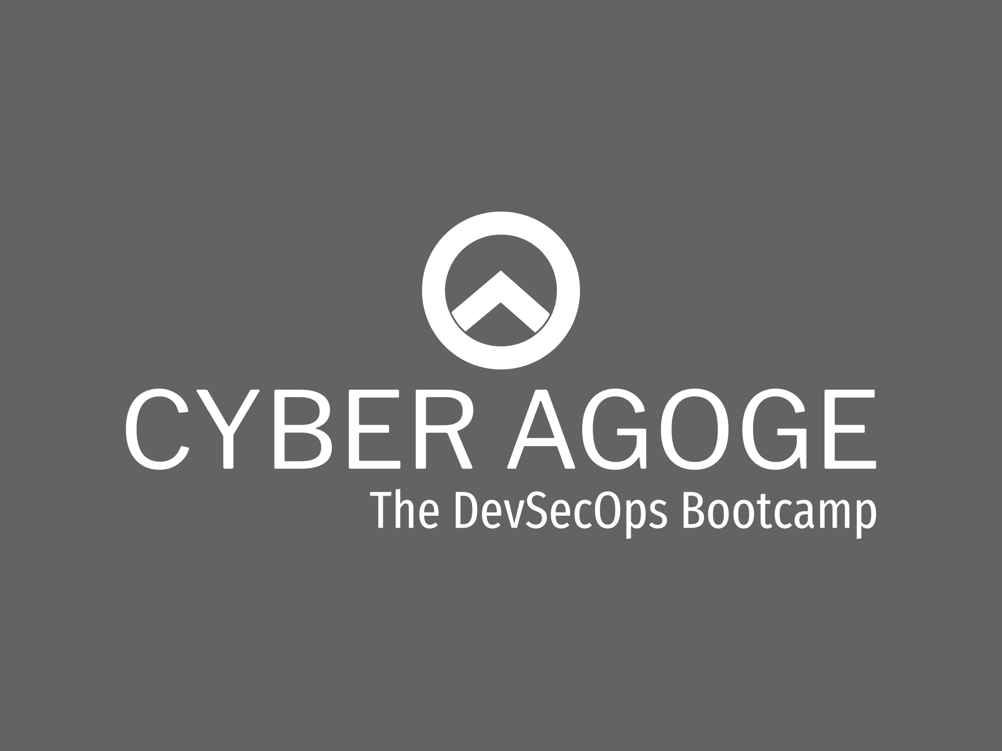 Cyber Security Bootcamp, DevSecOps Bootcamp and AWS Cloud Security, AI ...