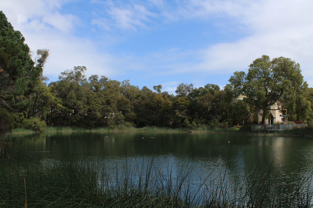 Secrets Of Storytelling Peter Cowan Writers Centre