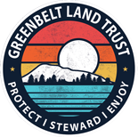 Foresight Drones Services - Elevate Your Impact