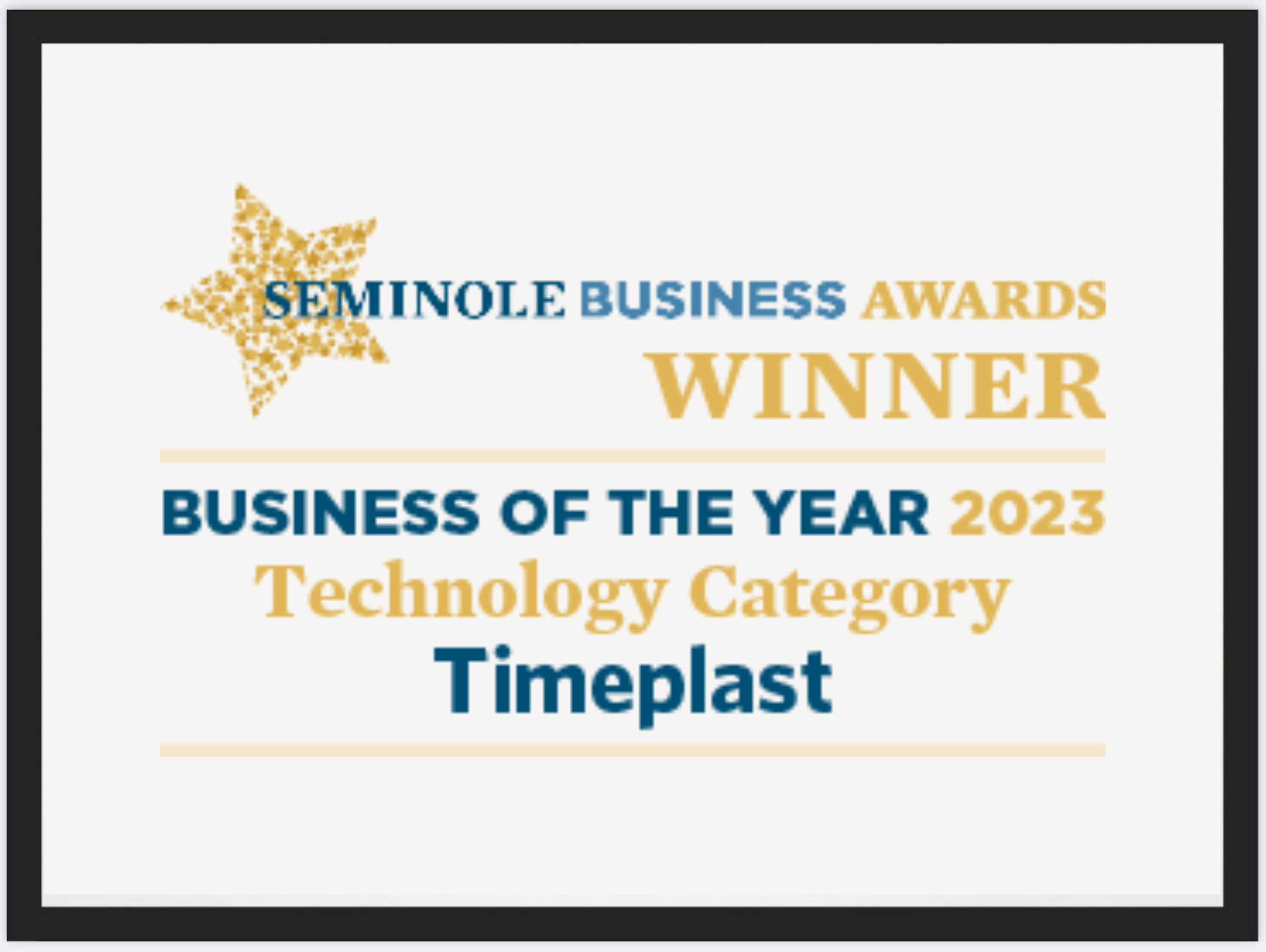 Timeplast Plus — Timeplast