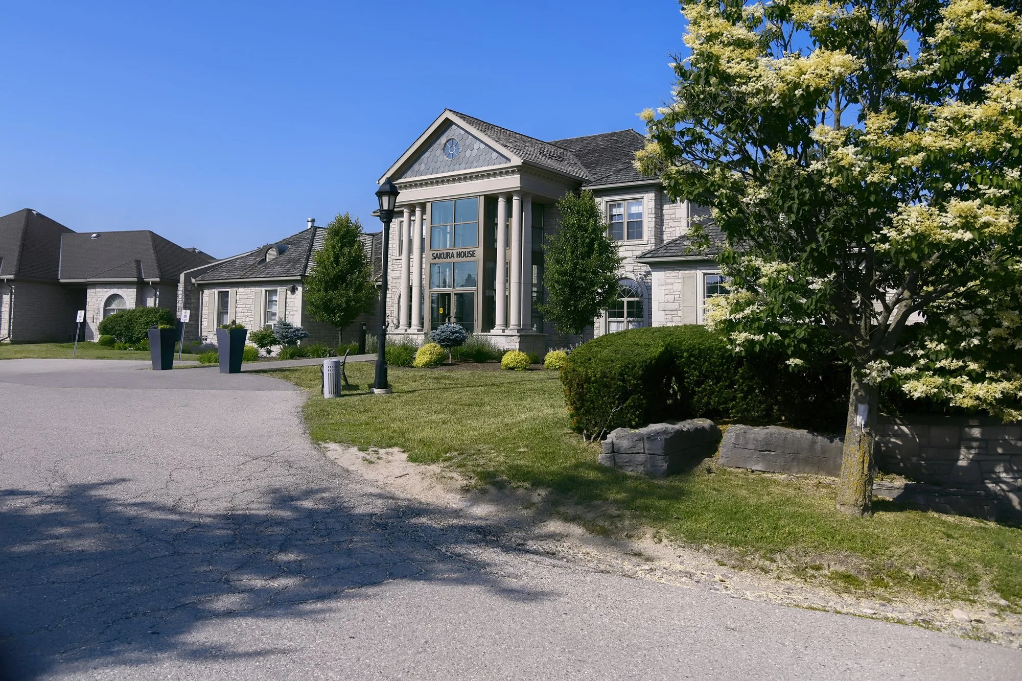 Patient Information — Sakura House