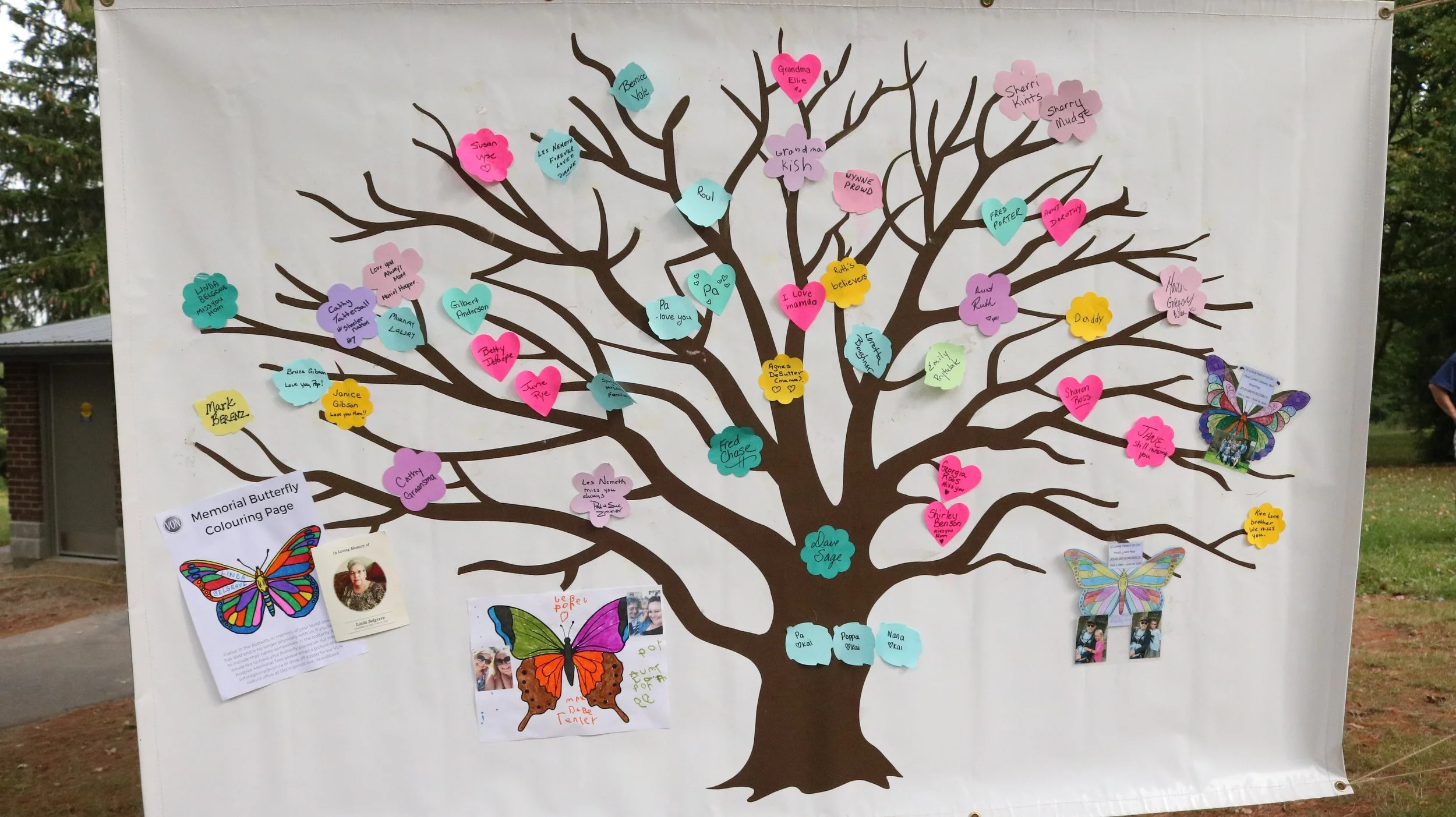 Wishing Tree — Sakura House