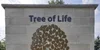 Remembering A Loved One — Sakura House