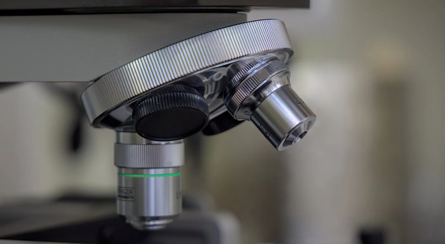 Kohler Proteostasis Lab