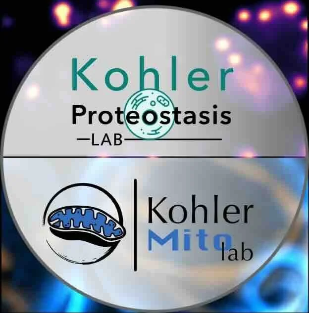 Resources — Kohler Proteostasis Lab