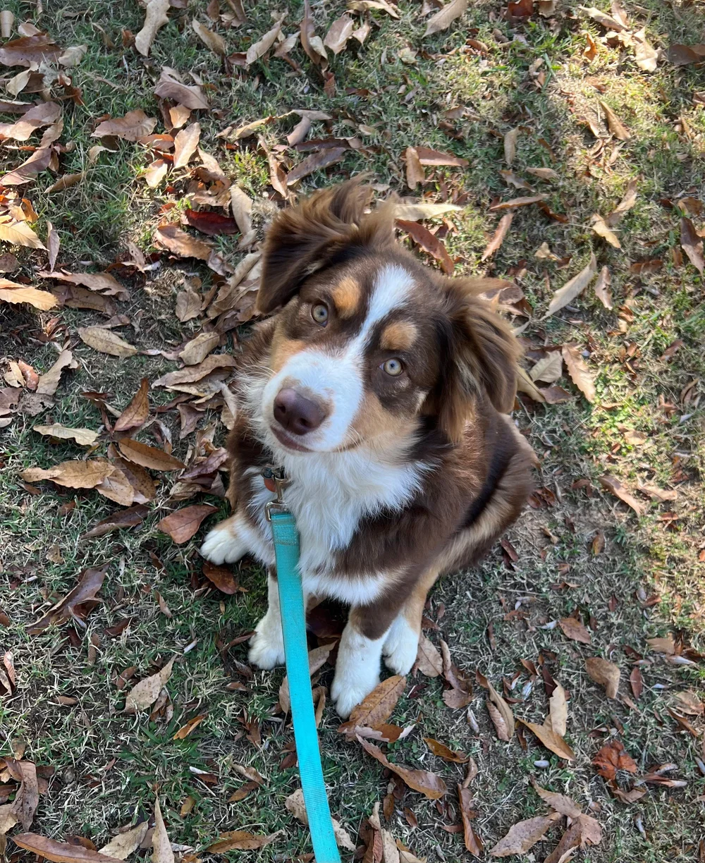 About — Empower Counseling & Consulting, LLC