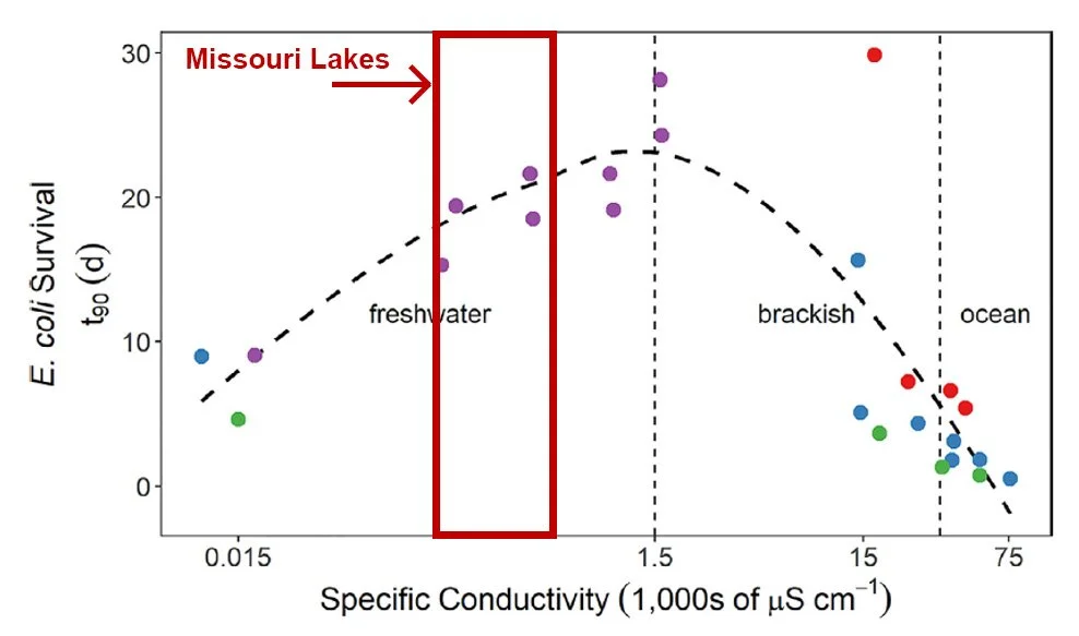 E. coli in the Environment — The Lakes of Missouri Volunteer Program