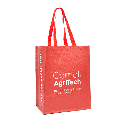 Custom Polypropylene Bags – Woven & Non-Woven