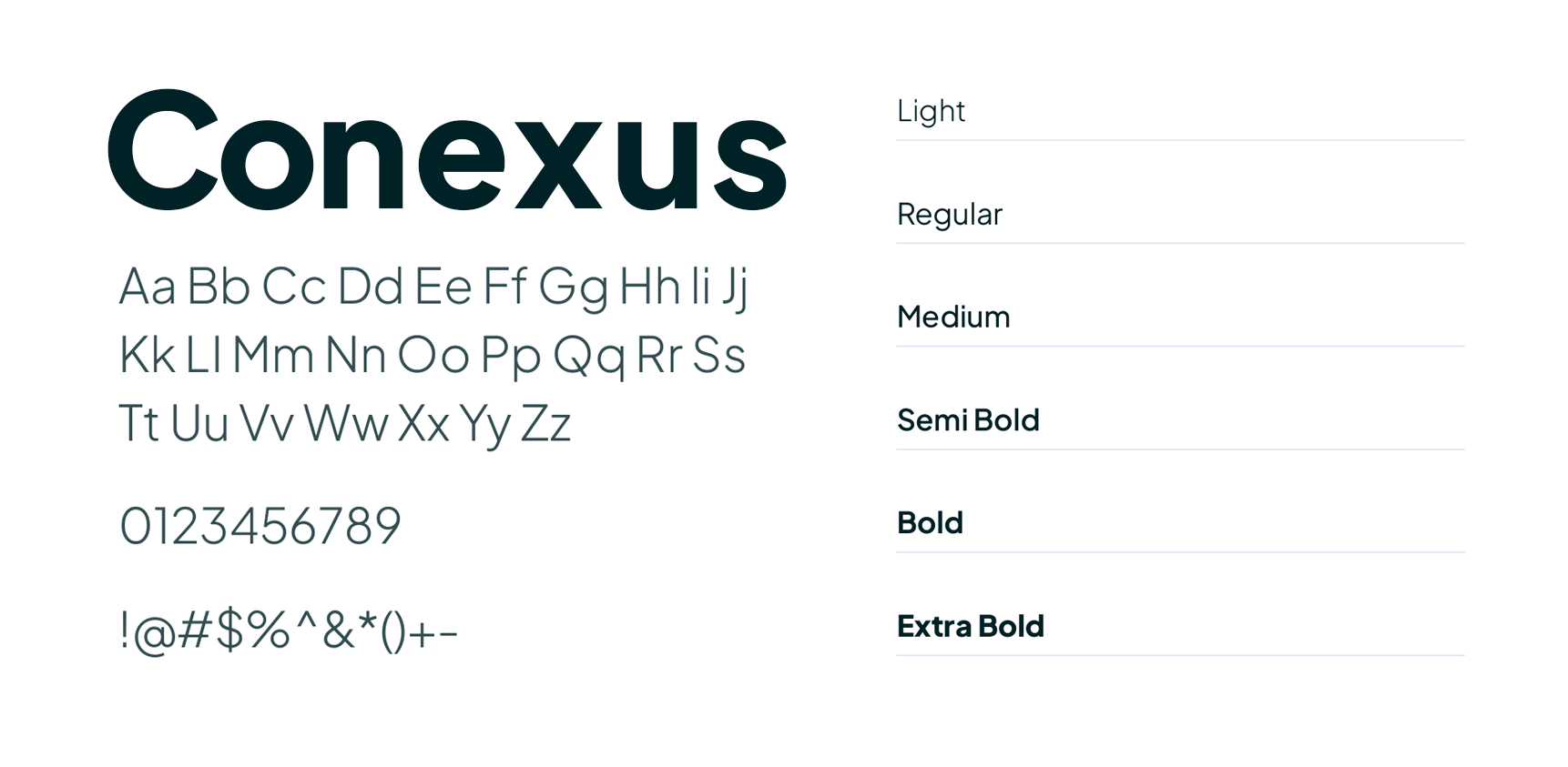 Conexus | Rebrand — Big Red Oak
