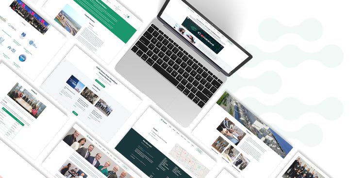 Conexus | Rebrand — Big Red Oak