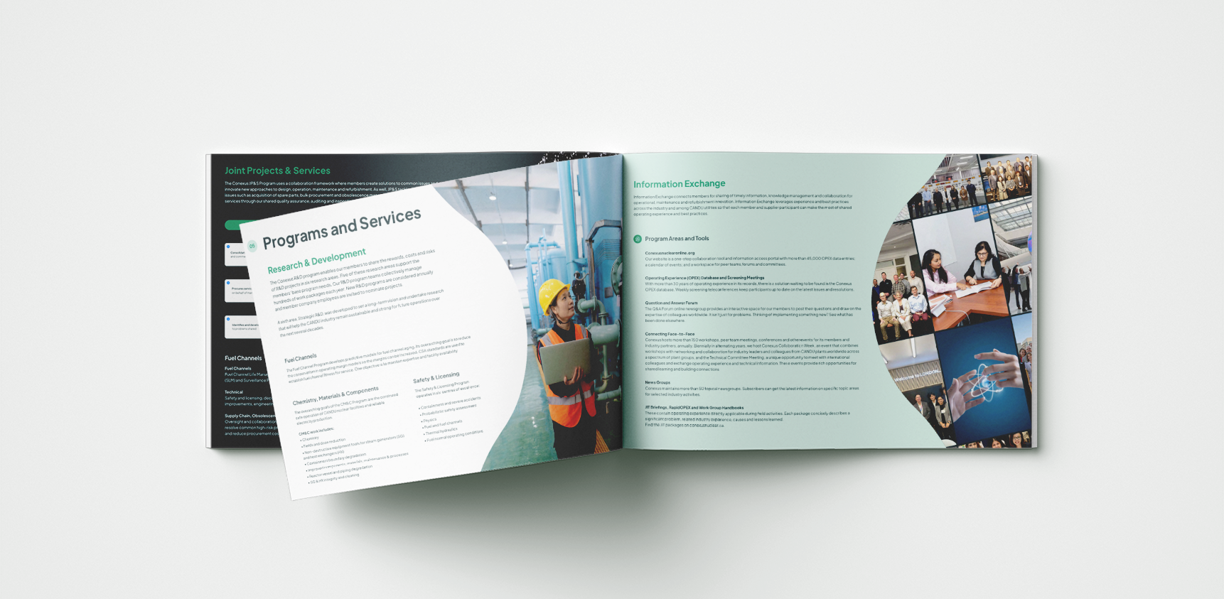 Conexus | Rebrand — Big Red Oak