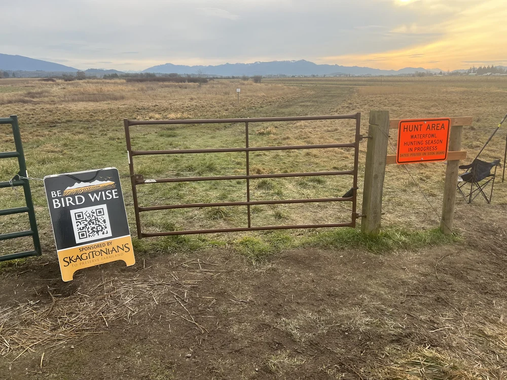 Wise Observations: Local Birder Colleen Shannon — Be Bird Wise