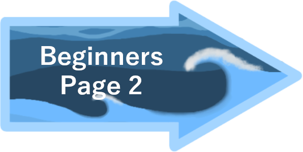 Beginner — Free Flowing - Roleplay Focused Table Top Game