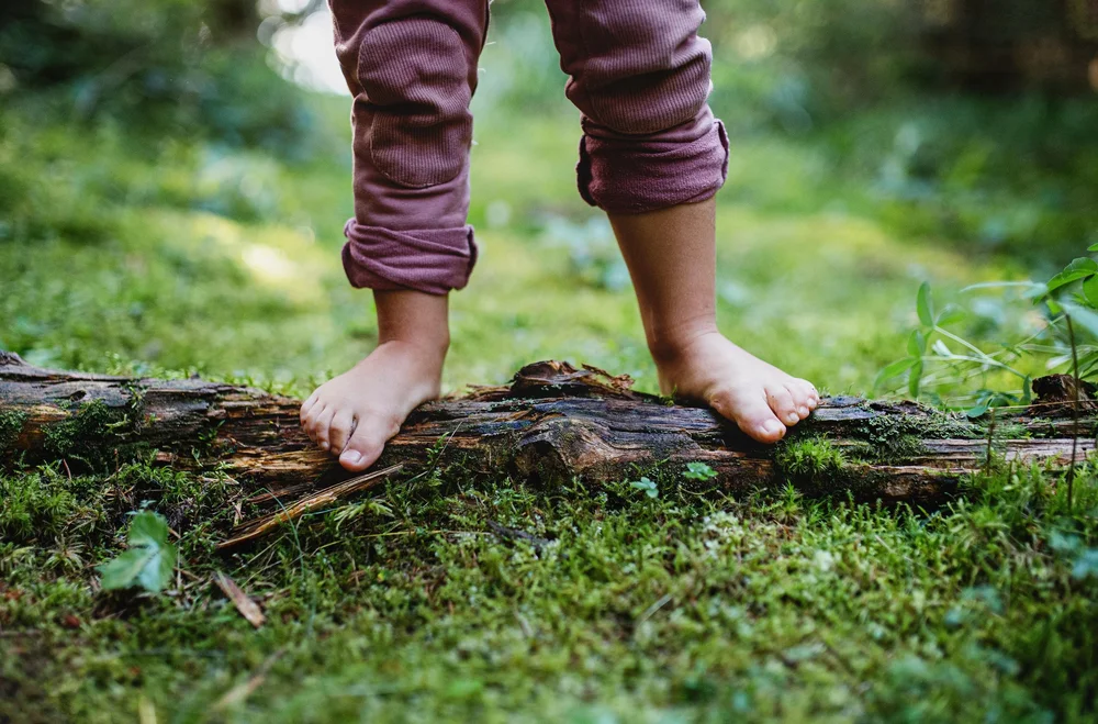 Specialized Mental Health Support for Children and Adolescents — Rooted ...