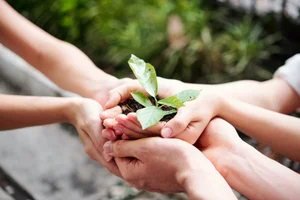 Rooted Counseling Services | Therapy for Children, Adolescents ...