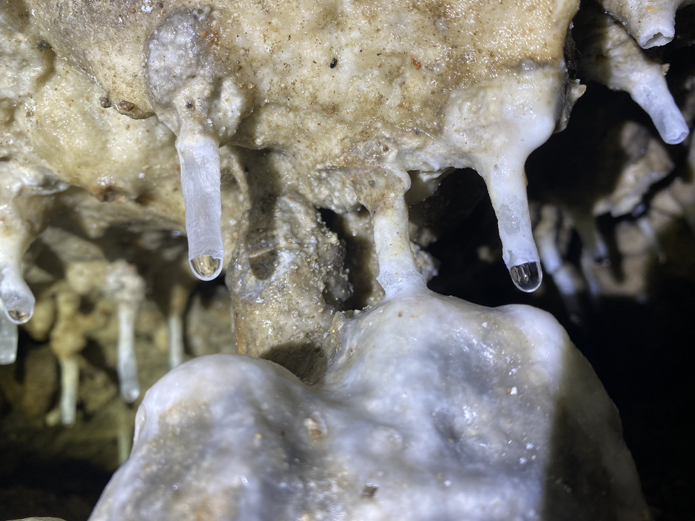 Location, Hours and Rates | Visit and Discover Today — Stark Caverns