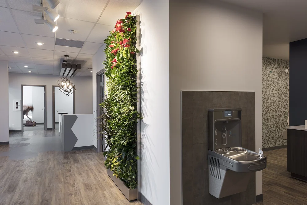 Park Integrative Health — Park Integrative Health