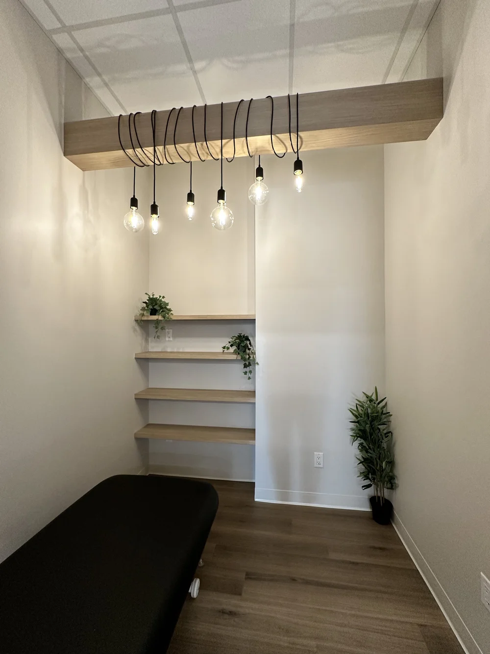 Synapse — Park Integrative Health