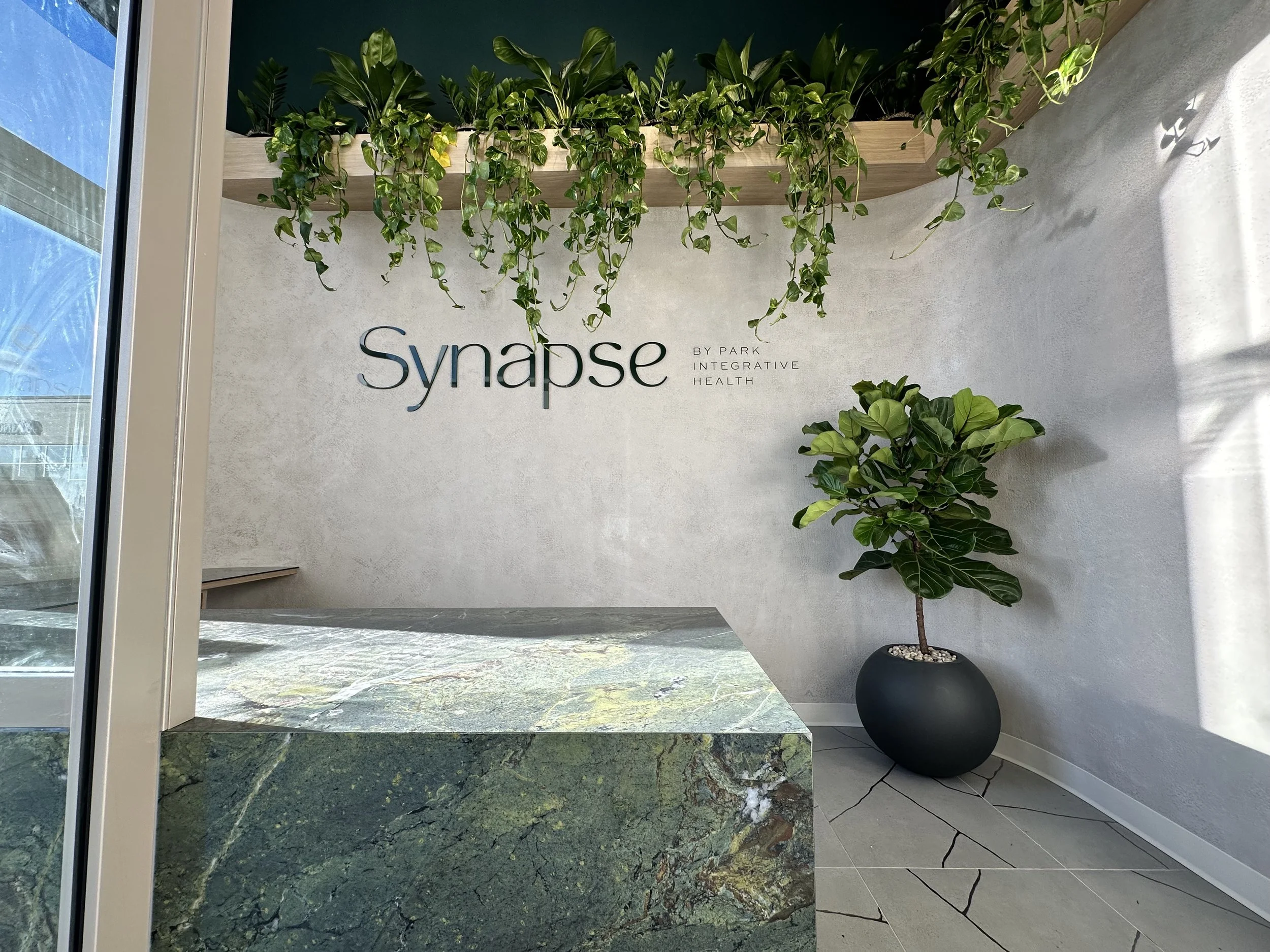 Synapse — Park Integrative Health