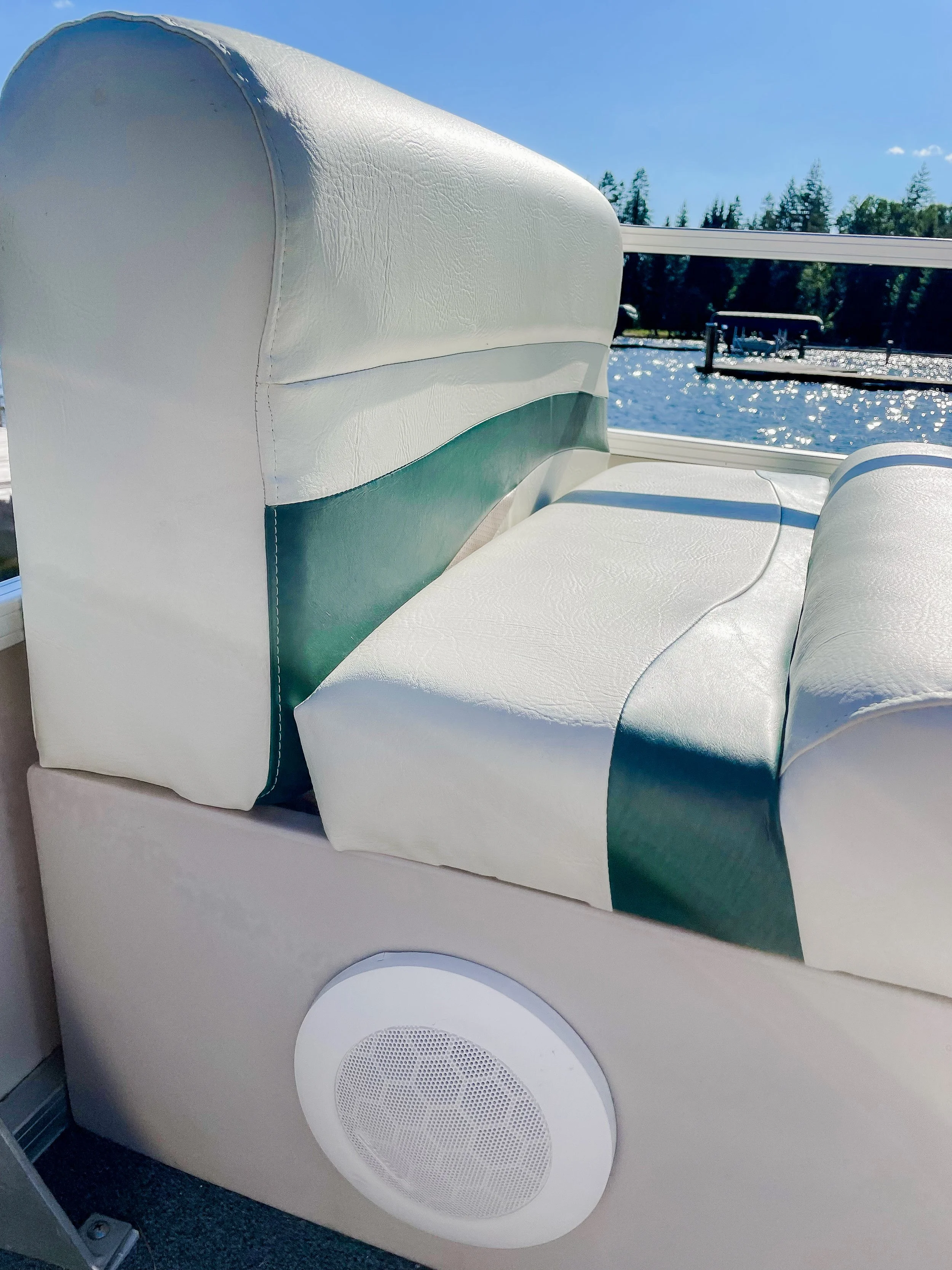 Pontoon Boat — The Narrow's Marina & Resort