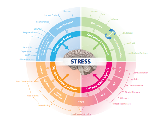 Stress and Health | Austin Vitality Clinic