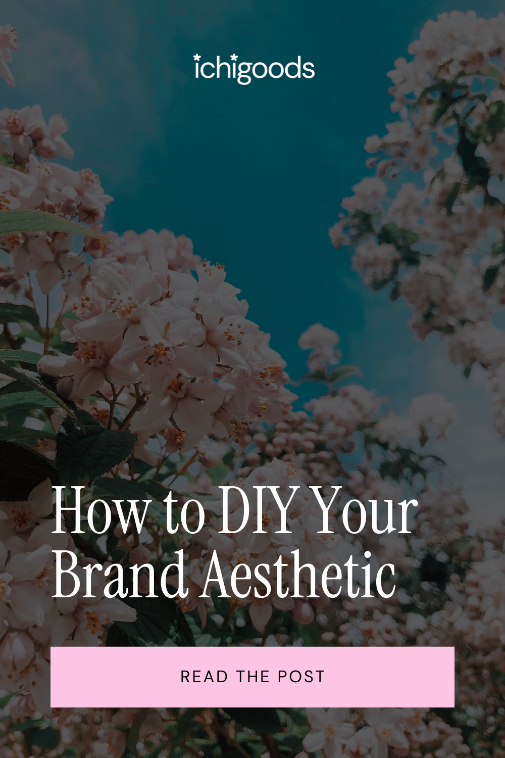 How to DIY Your Brand Aesthetic — Ichigoods