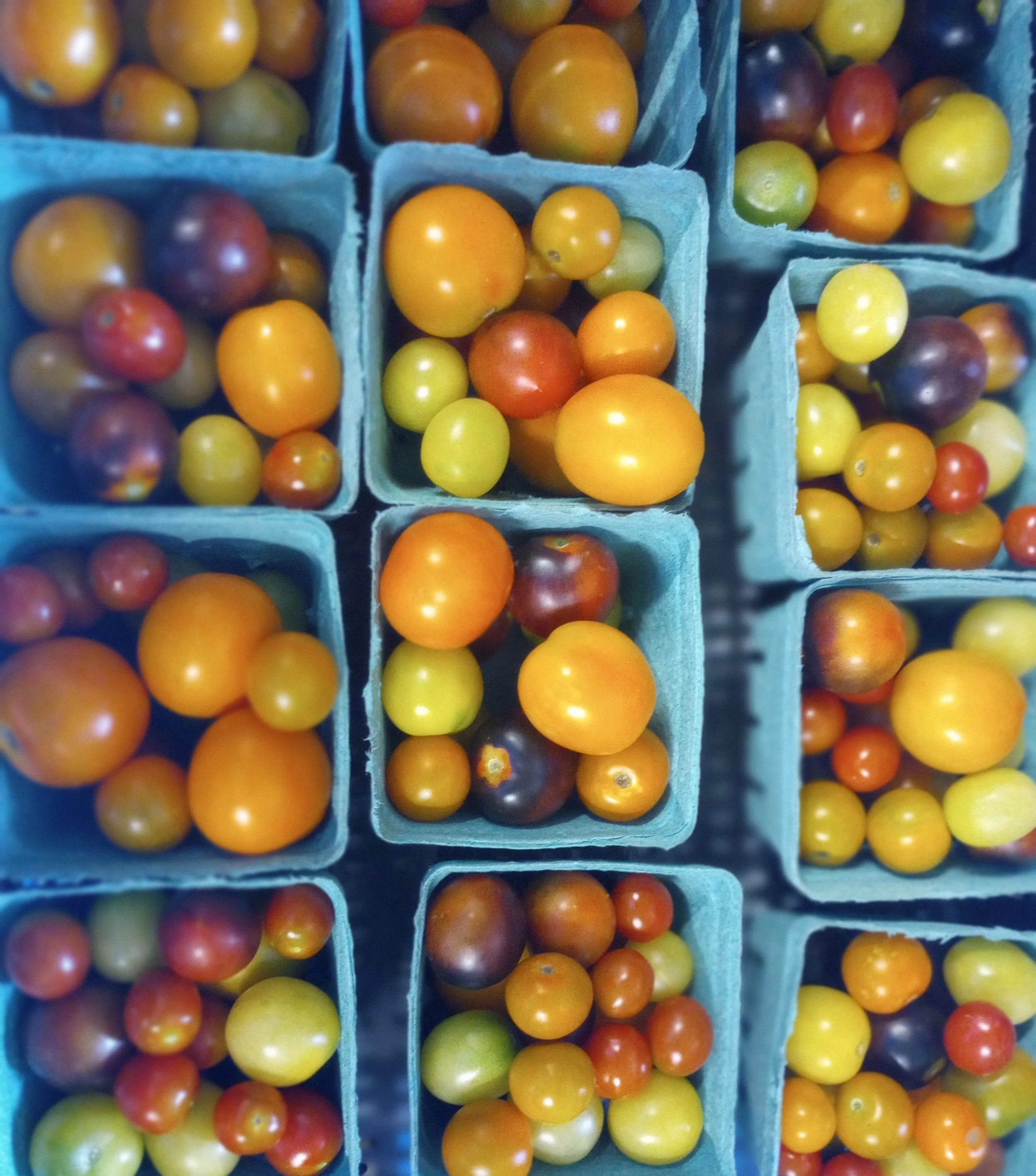 Products | Seasonal Vegetables & Herbs — Mi Tierra Farm, LLC