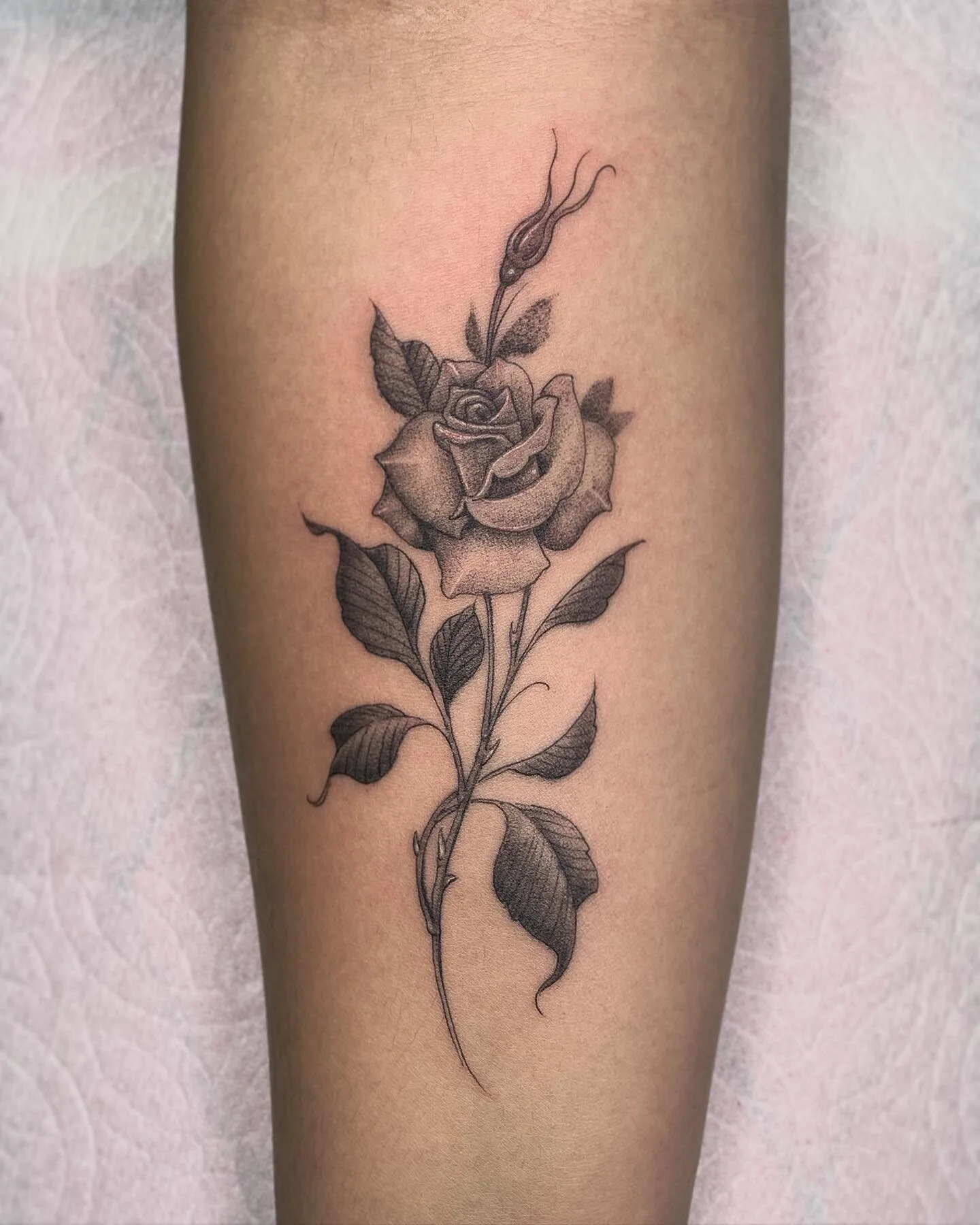Rose Tattoo San Diego | Voted Second Best Tattoo Studio