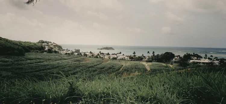 ABOUT RUM | Discover Quality Rum Today — House of Rum