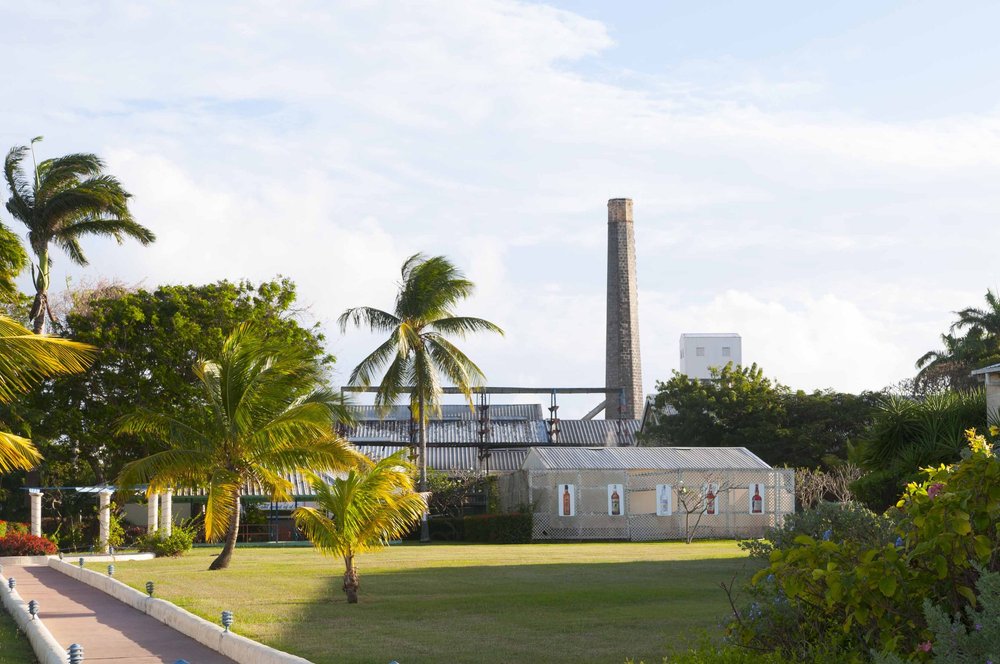 DISTILLERIES - FOURSQUARE | Discover Premium Rum Today — House of Rum