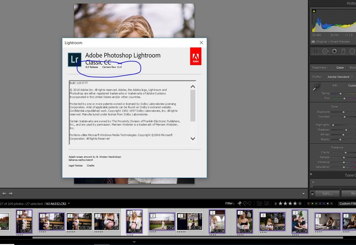 How to Install Lightroom Presets — Birth Becomes You
